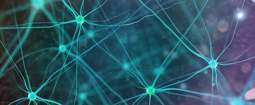 Vegetatives Nervensystem - HiToP® PNP